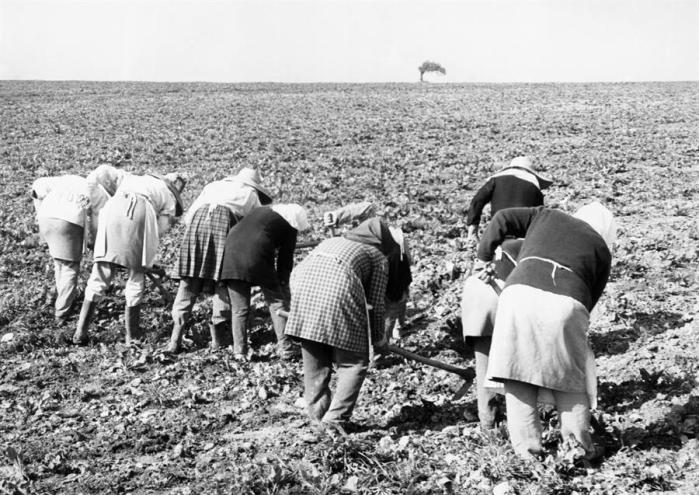 Retrato de la mujer rural a lo largo de la historia